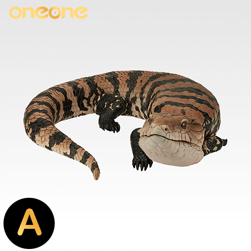 oneone玩玩::一番賞-2《爬蟲類＆兩棲類》～Tiny Friends～vol.2 (8月中旬到貨)