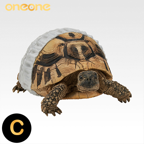 oneone玩玩::一番賞-2《爬蟲類＆兩棲類》～Tiny Friends～vol.2 (8月中旬到貨)